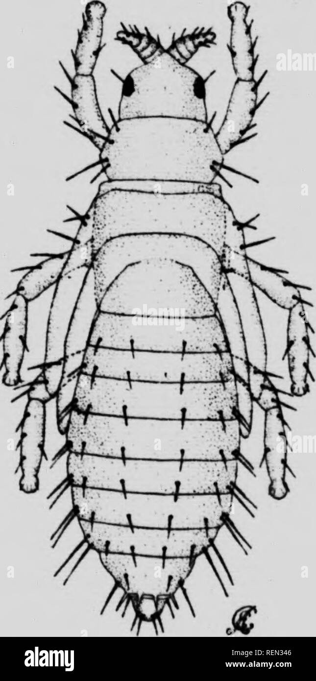 Rumm hi-res stock photography and images - Alamy