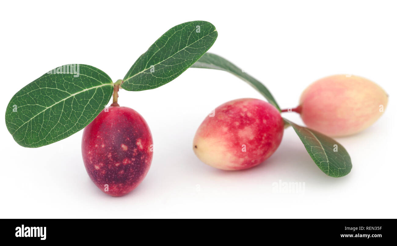 Carissa hi-res stock photography and images - Alamy