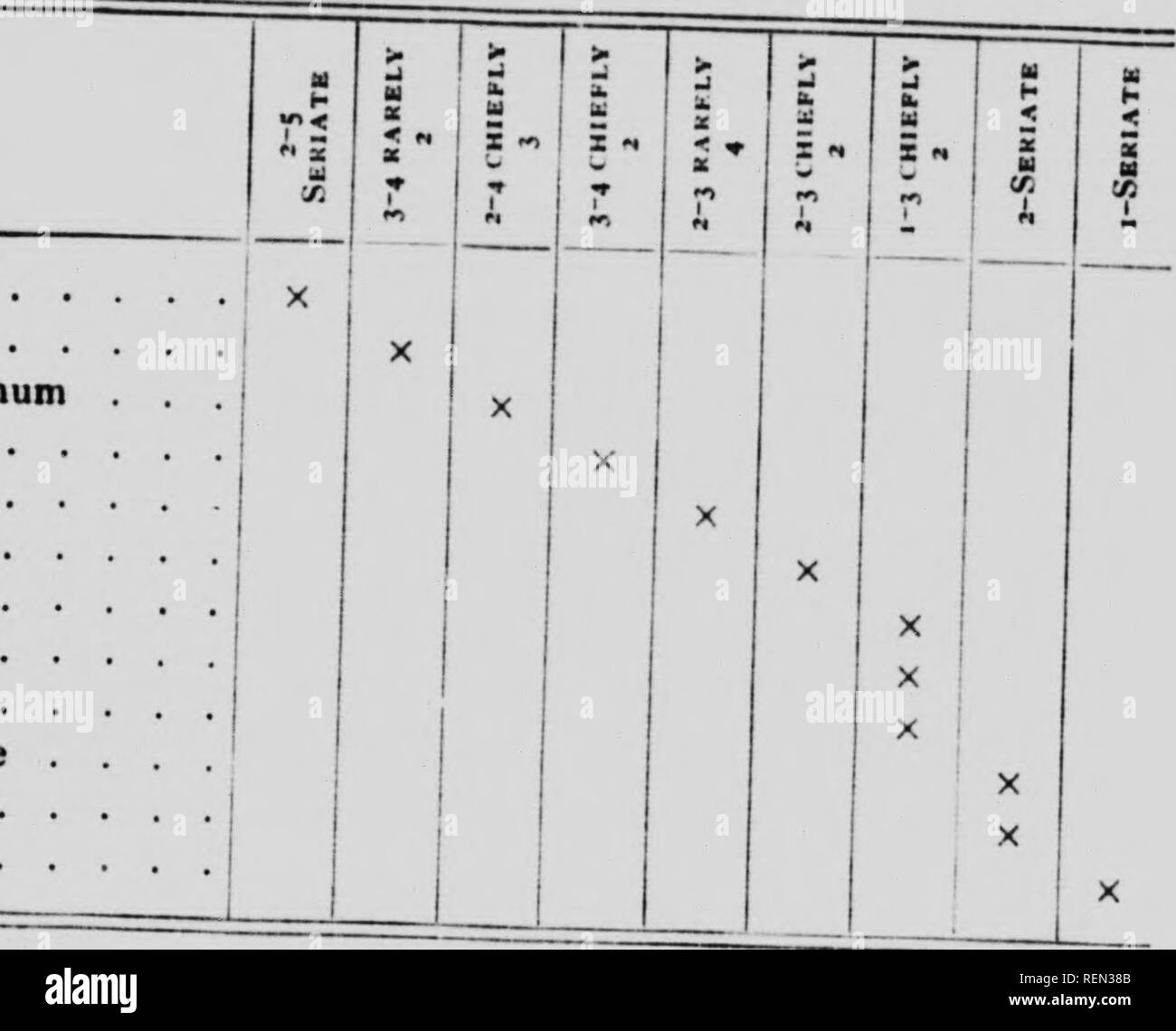 . A manual of the North American gymnosperms [microform] : exclusive of ...