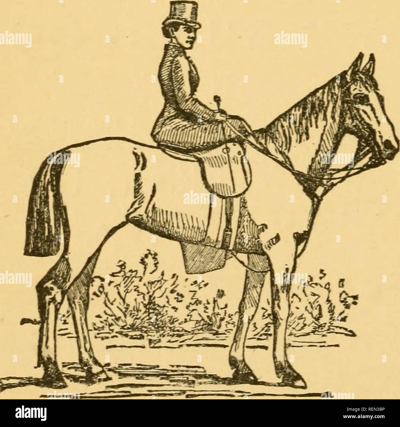 Peter swales hi-res stock photography and images - Alamy