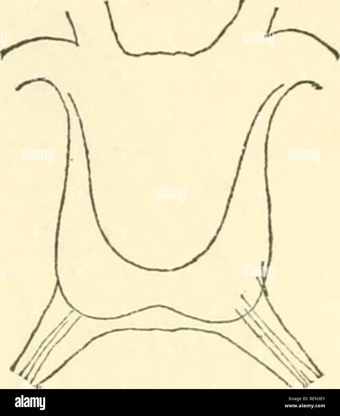 P1 test hi-res stock photography and images - Alamy