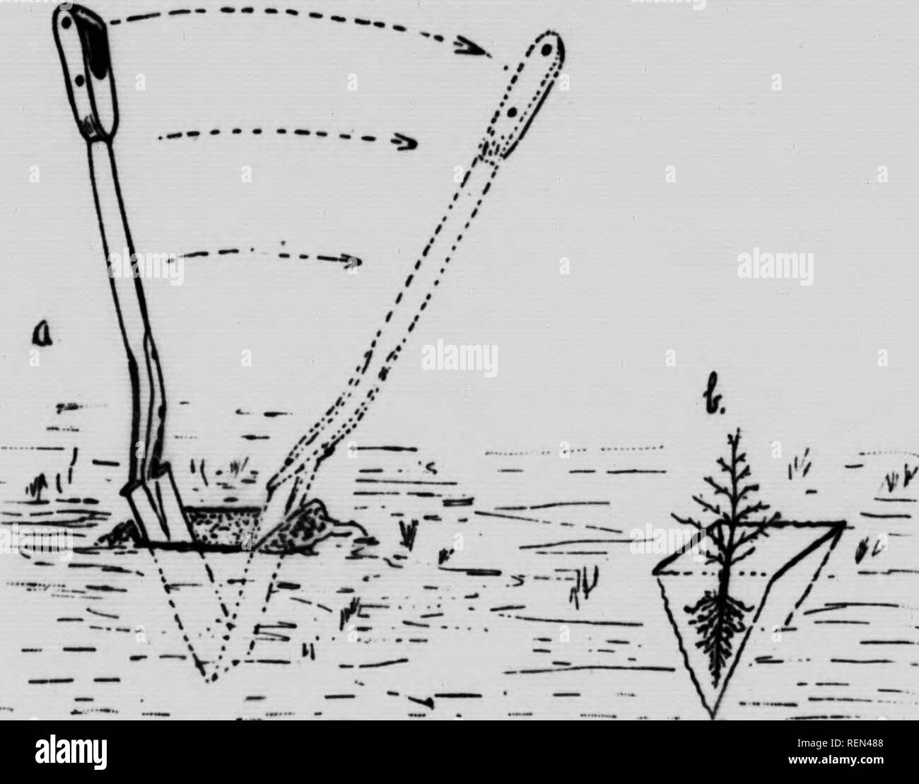 . Farm forestry [microform]. Woodlots; Tree planting; Forêts privées ...