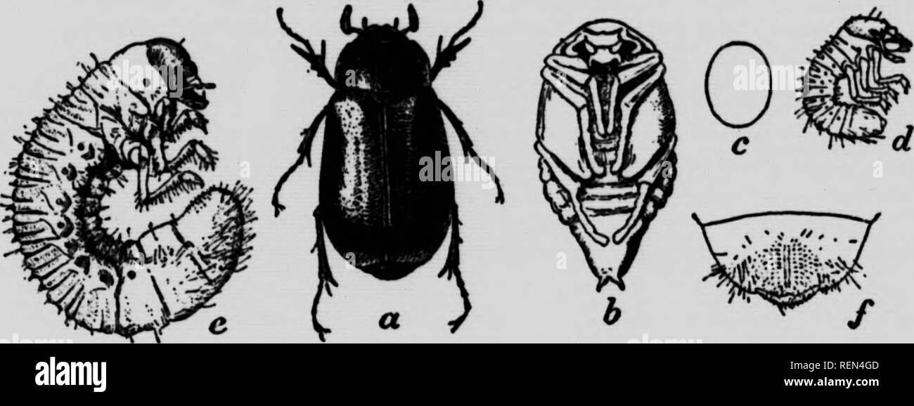 Transfrom hi-res stock photography and images - Alamy