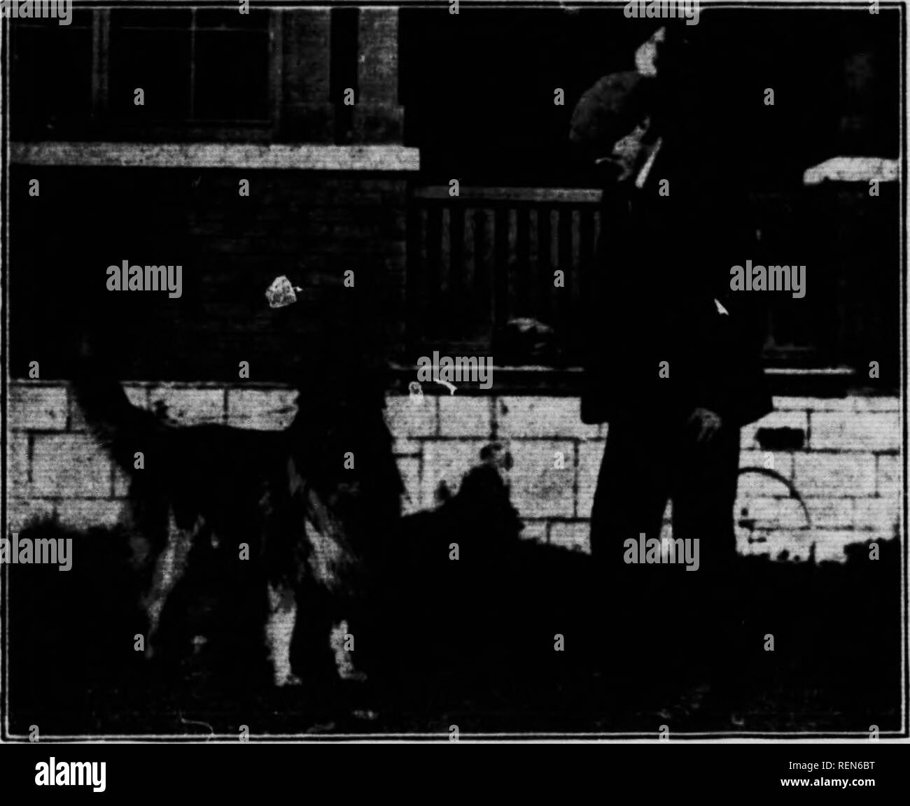 Trembling mouse Black and White Stock Photos & Images - Alamy