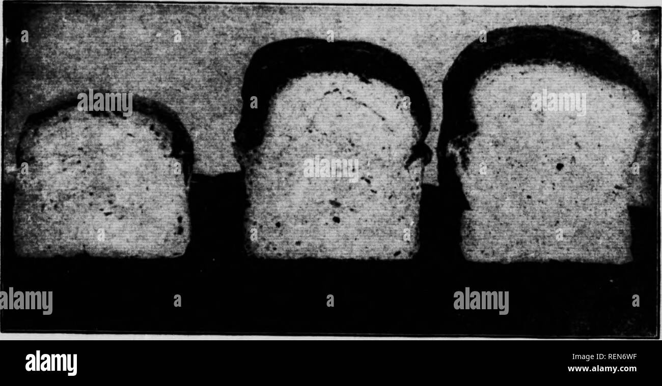 Bone flour Black and White Stock Photos & Images - Alamy