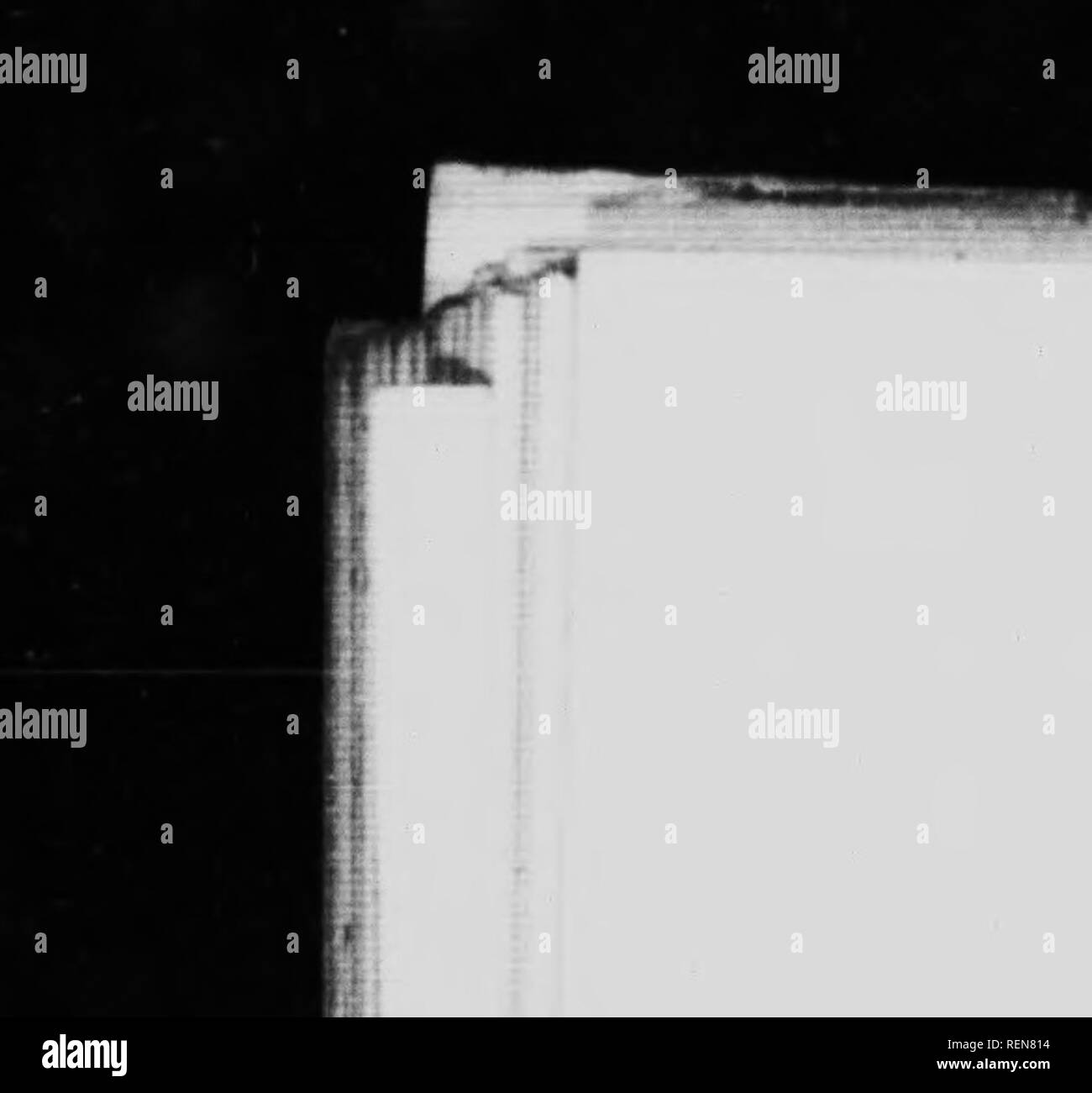 Crimson n clover hi-res stock photography and images - Alamy