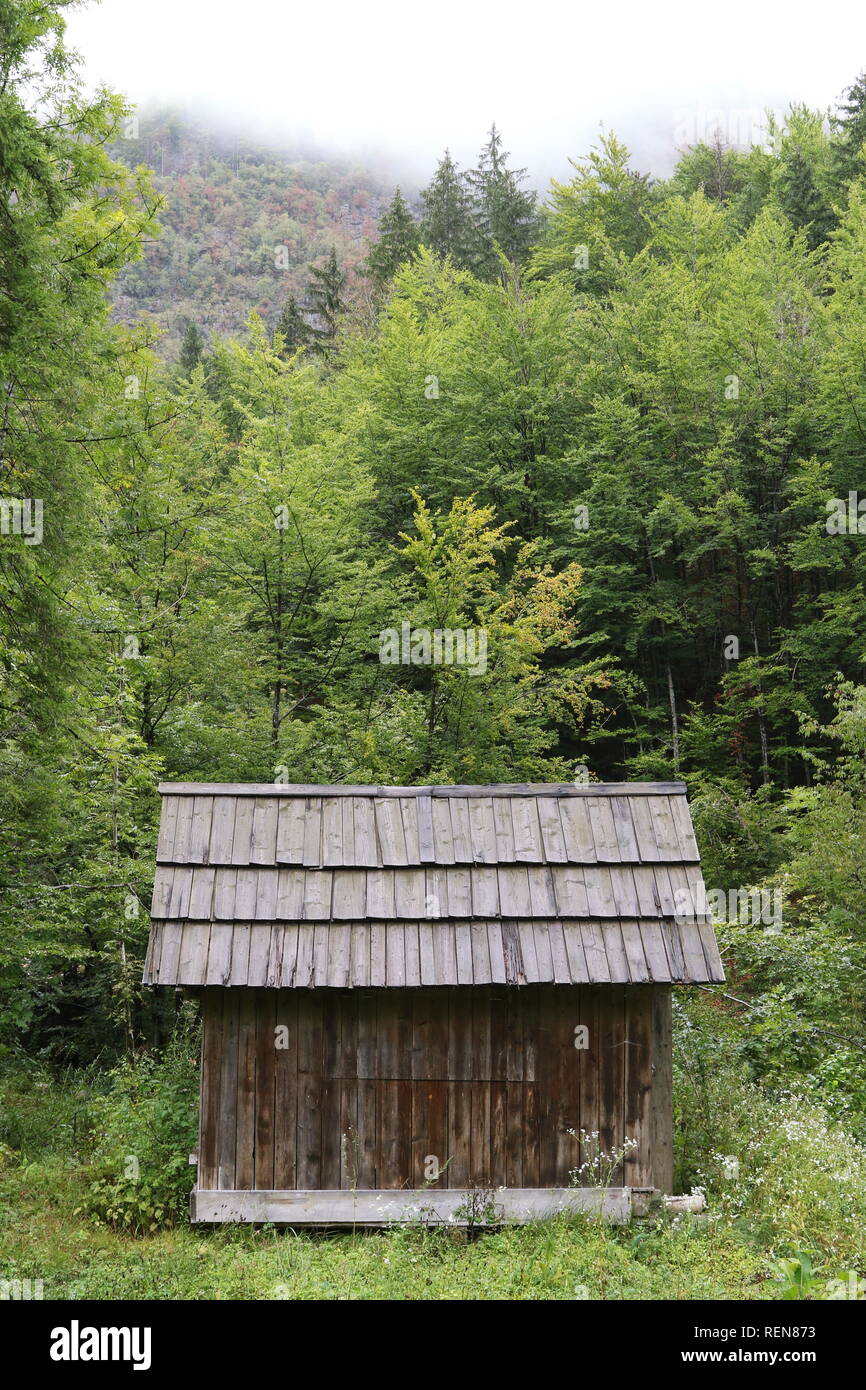 Wooden hut in the mountains at Lake Bohinj, Slovenia Stock Photo - Alamy