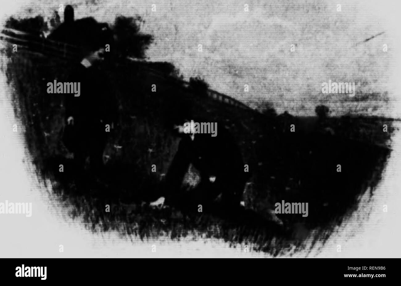 Mcr bees hi-res stock photography and images - Alamy