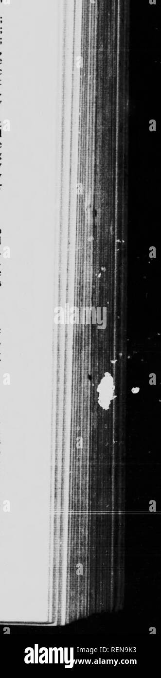 14 8 10 1 cm Black and White Stock Photos & Images - Alamy