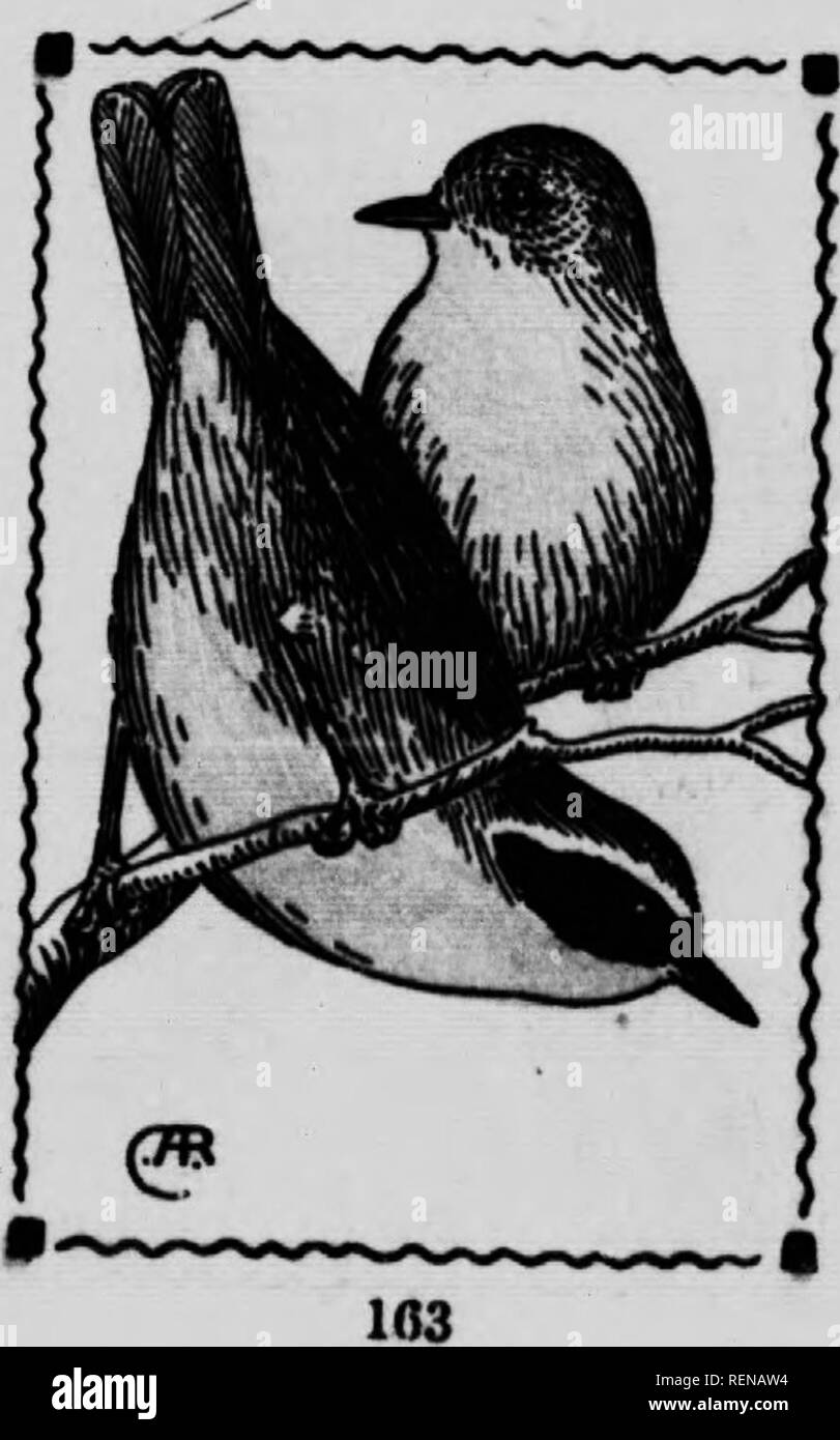 Ignou Black and White Stock Photos & Images - Alamy