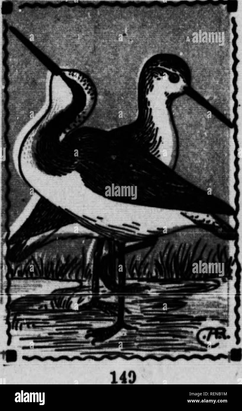 224 9 Black and White Stock Photos & Images - Alamy