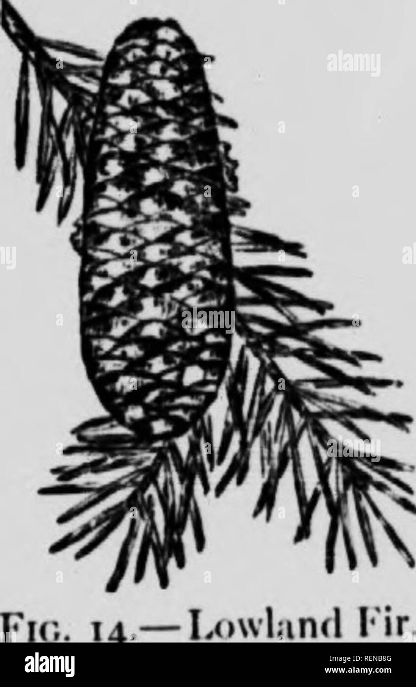 Two hundred feet high Black and White Stock Photos & Images - Alamy