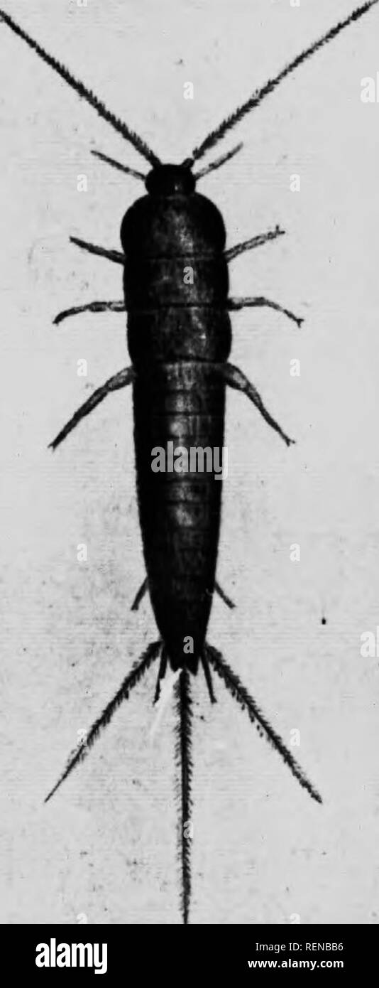 Insect hut Black and White Stock Photos & Images - Alamy