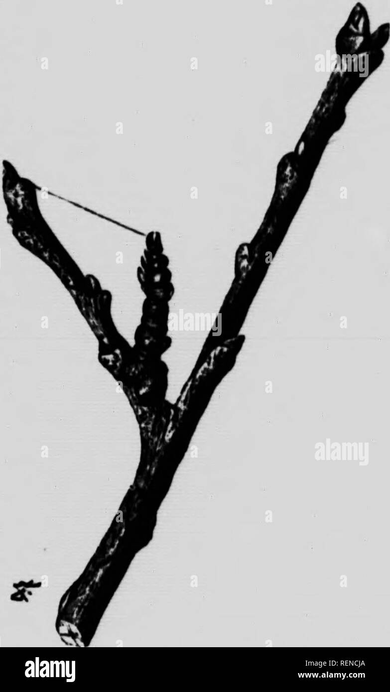 Tw legs hi-res stock photography and images - Alamy