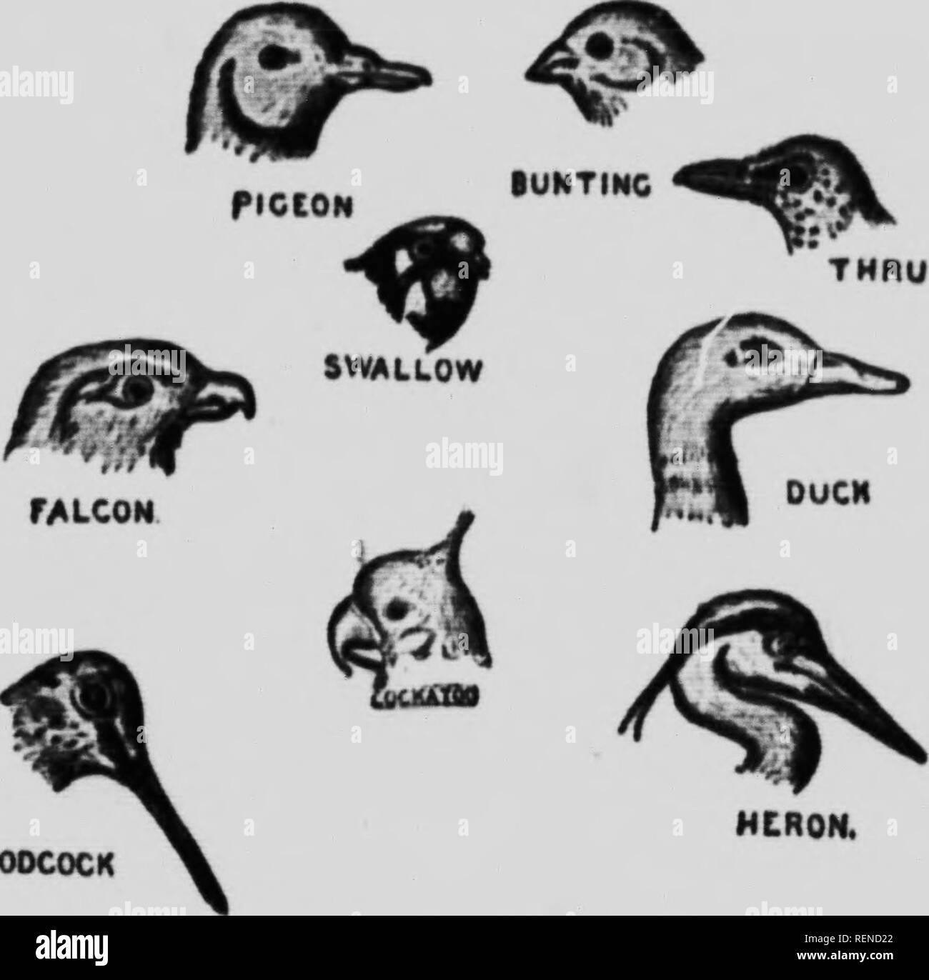 Roof knobs hi-res stock photography and images - Alamy