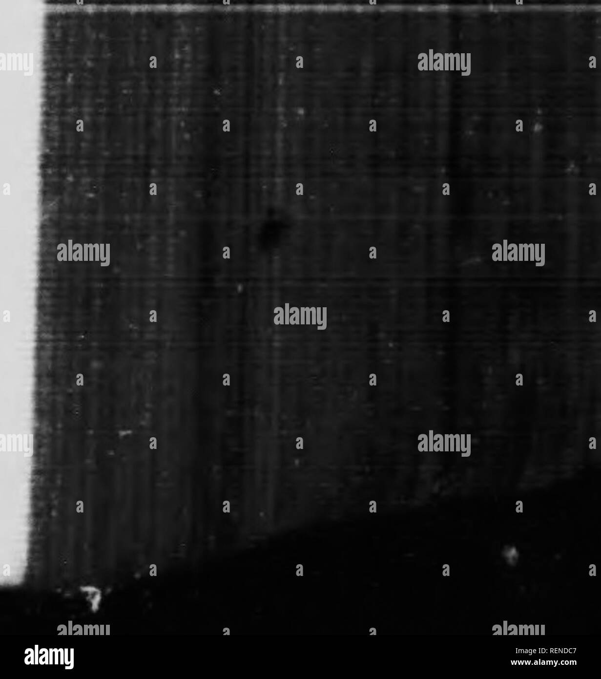 . Zoölogy [microform] : descriptive and practical. Zoology; Zoologie ...