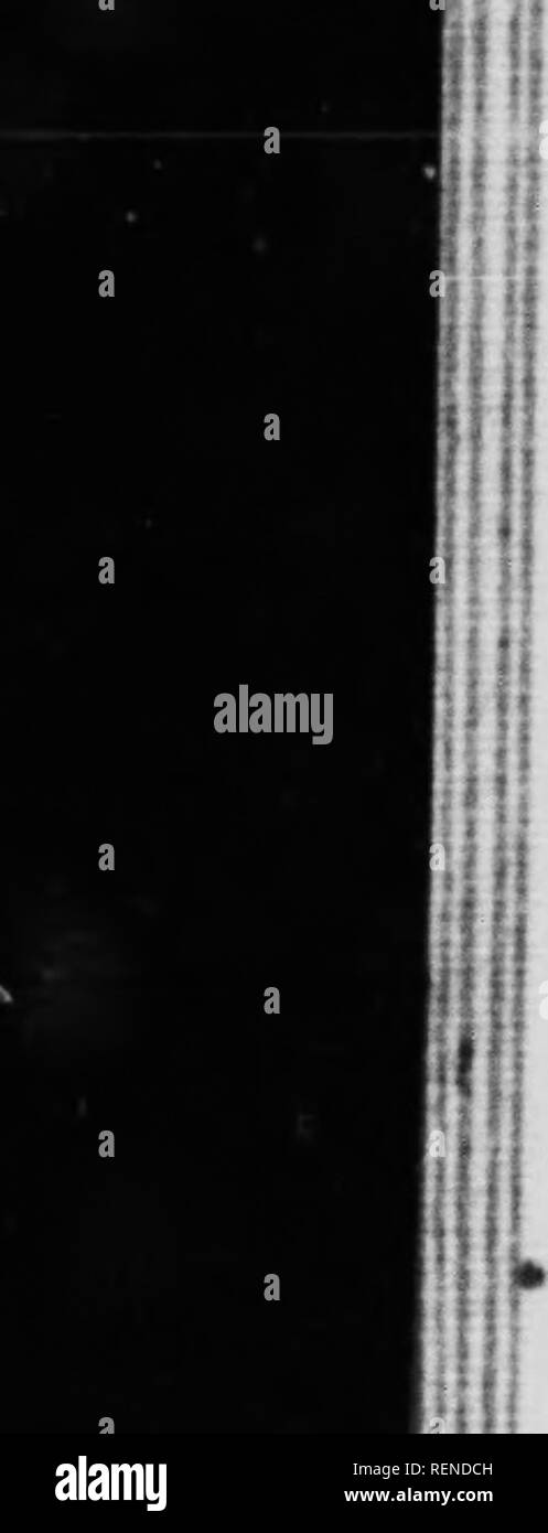 Physical development guide Black and White Stock Photos & Images - Alamy