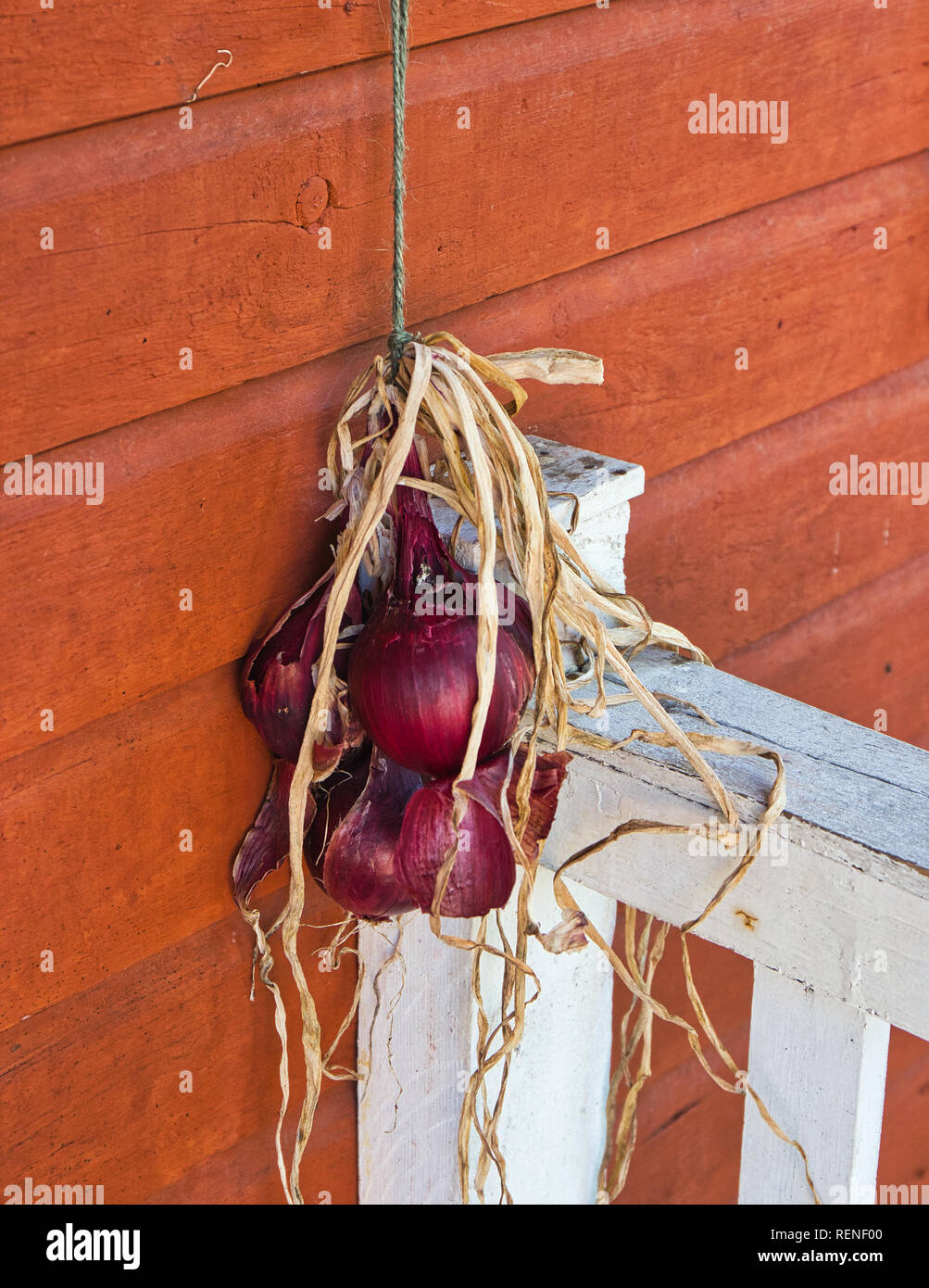 String of red onions hanging up outside wooden cabin, Sweden ...