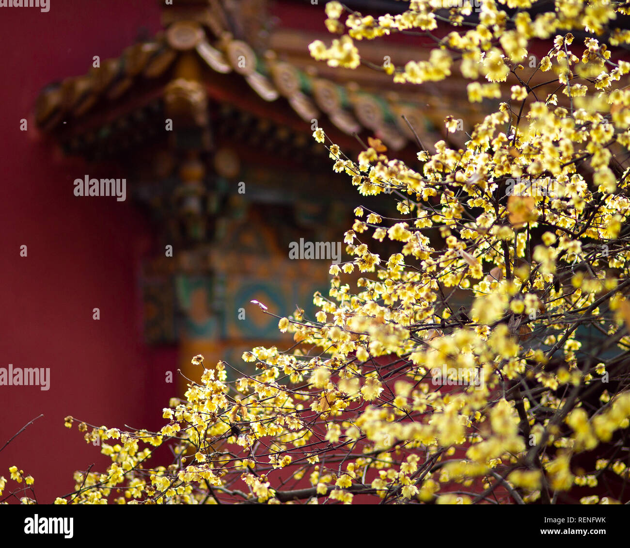 Ming xiaoling scenic area hi-res stock photography and images - Alamy