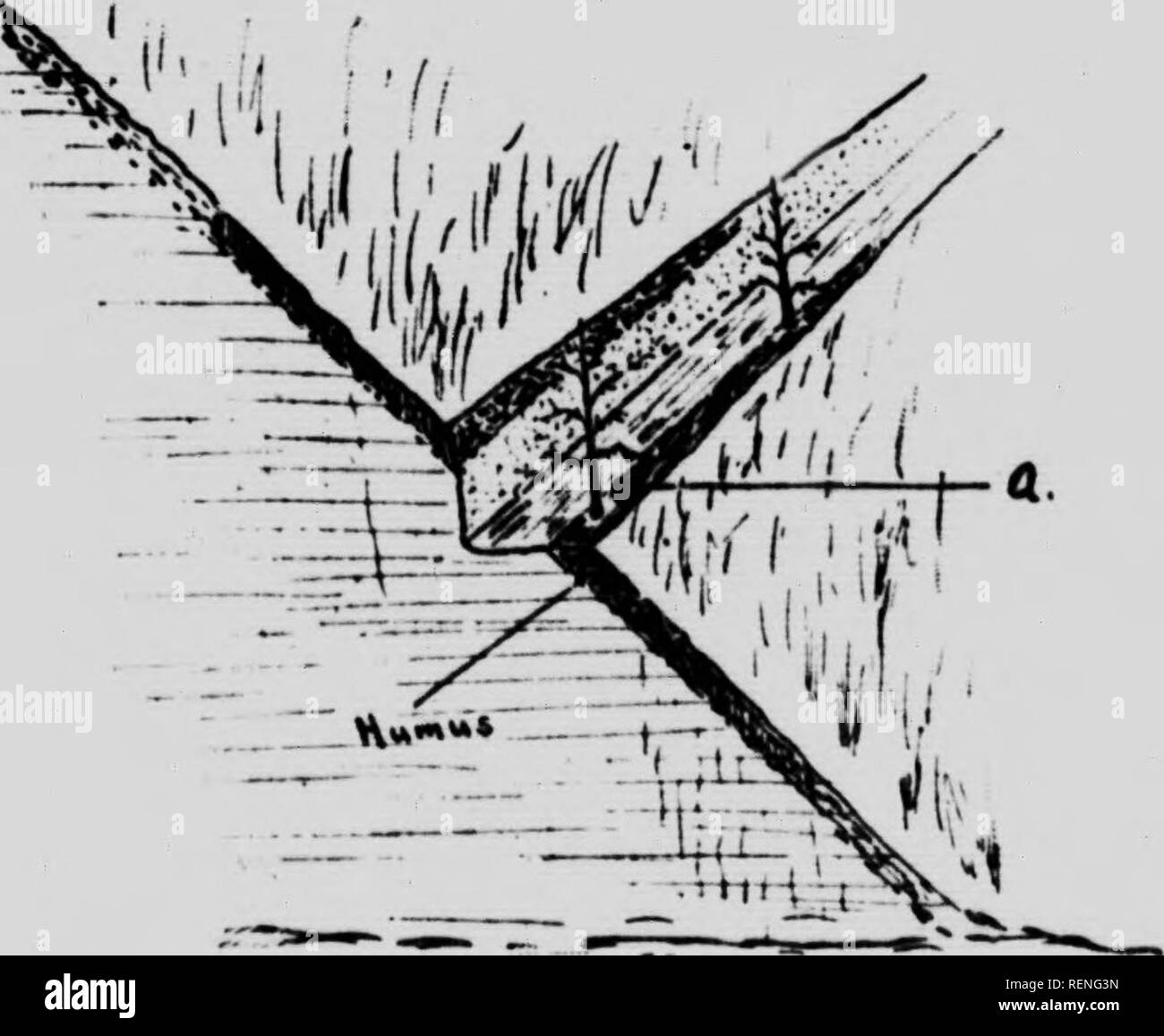 Tree nursery farm shown in hi-res stock photography and images - Alamy