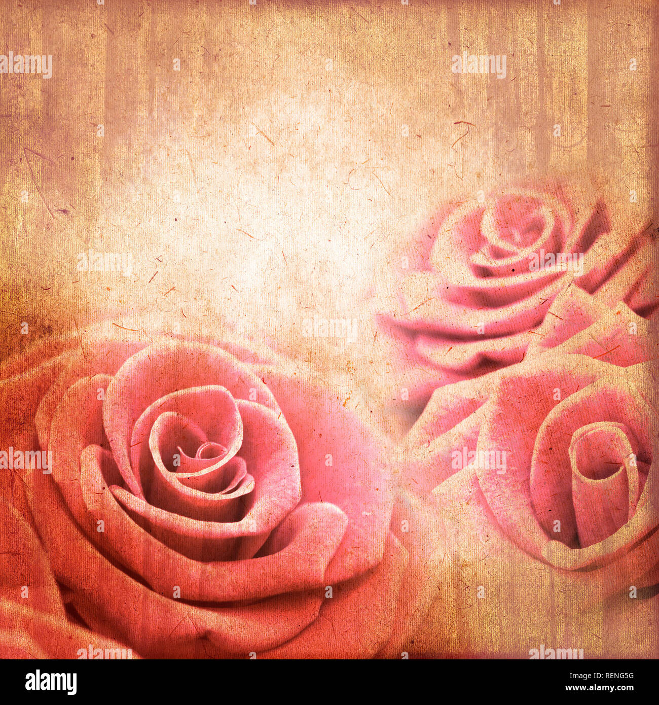 Retro vintage roses hi-res stock photography and images - Alamy