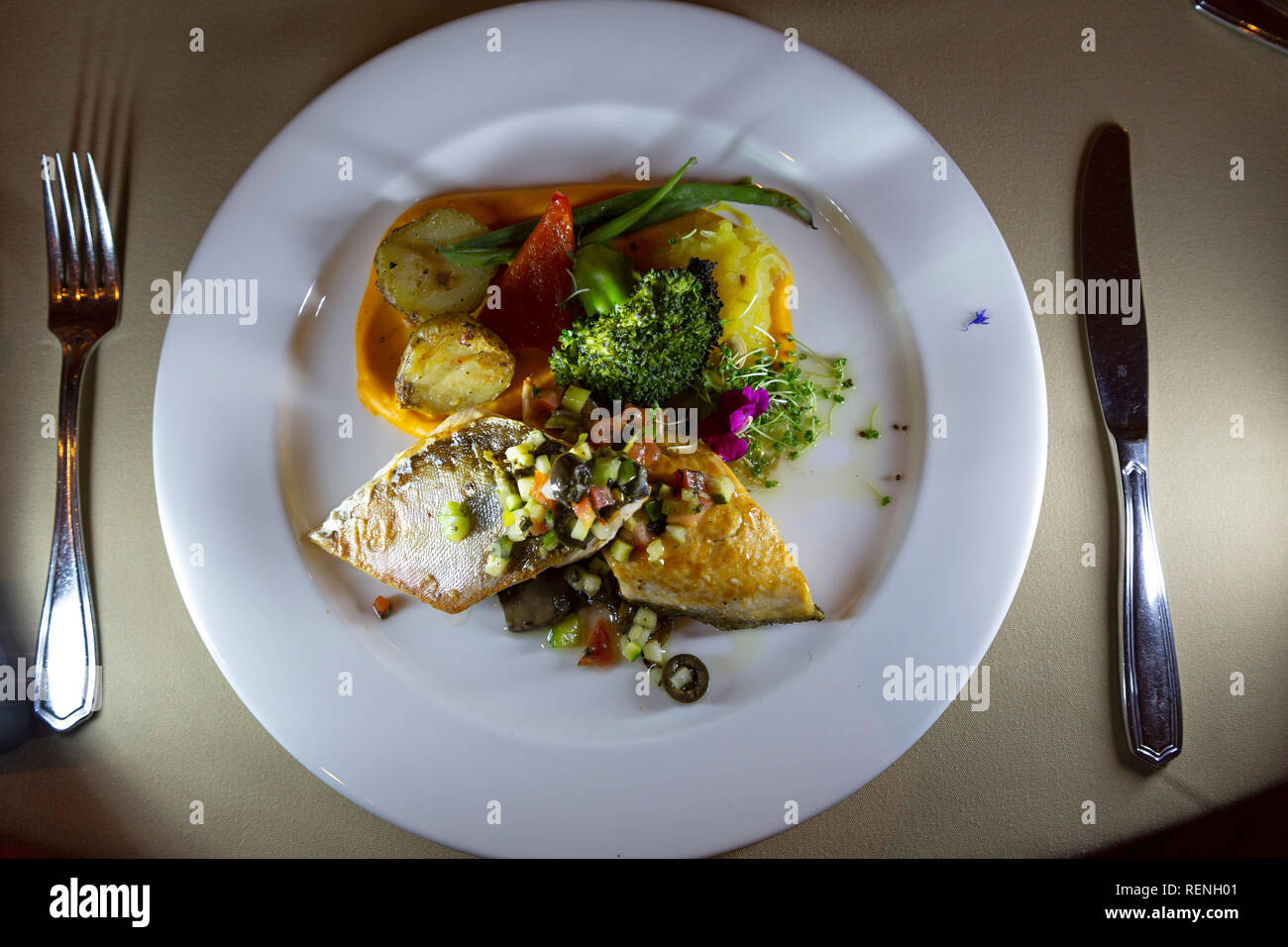 Fish dining hi-res stock photography and images - Alamy
