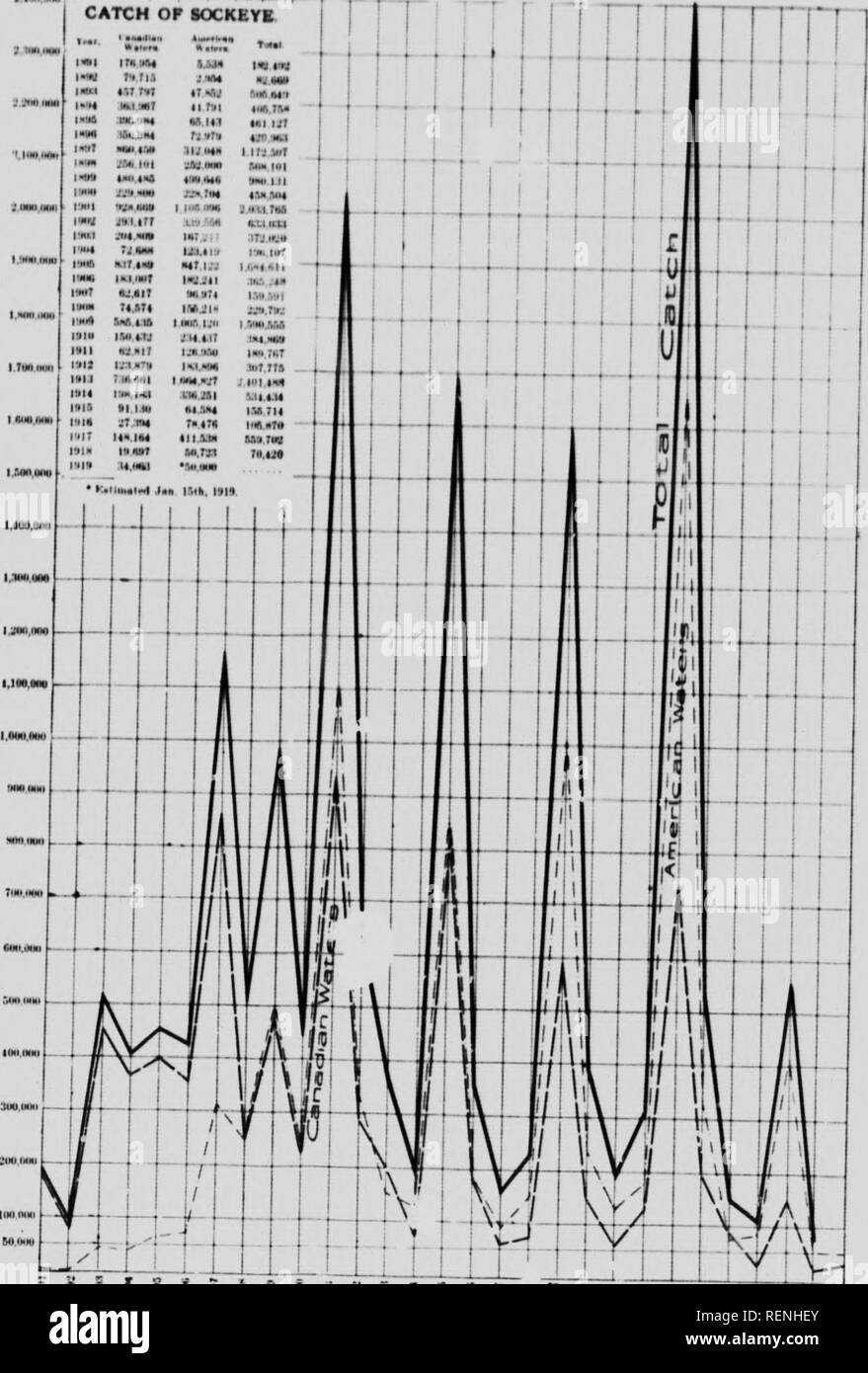 Fraser river sockeye Black and White Stock Photos & Images - Alamy