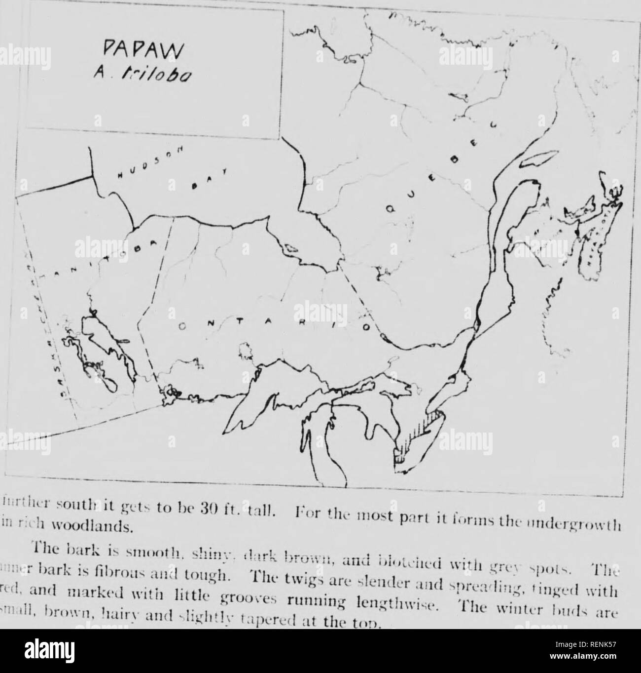 Dunal lake hi-res stock photography and images - Alamy