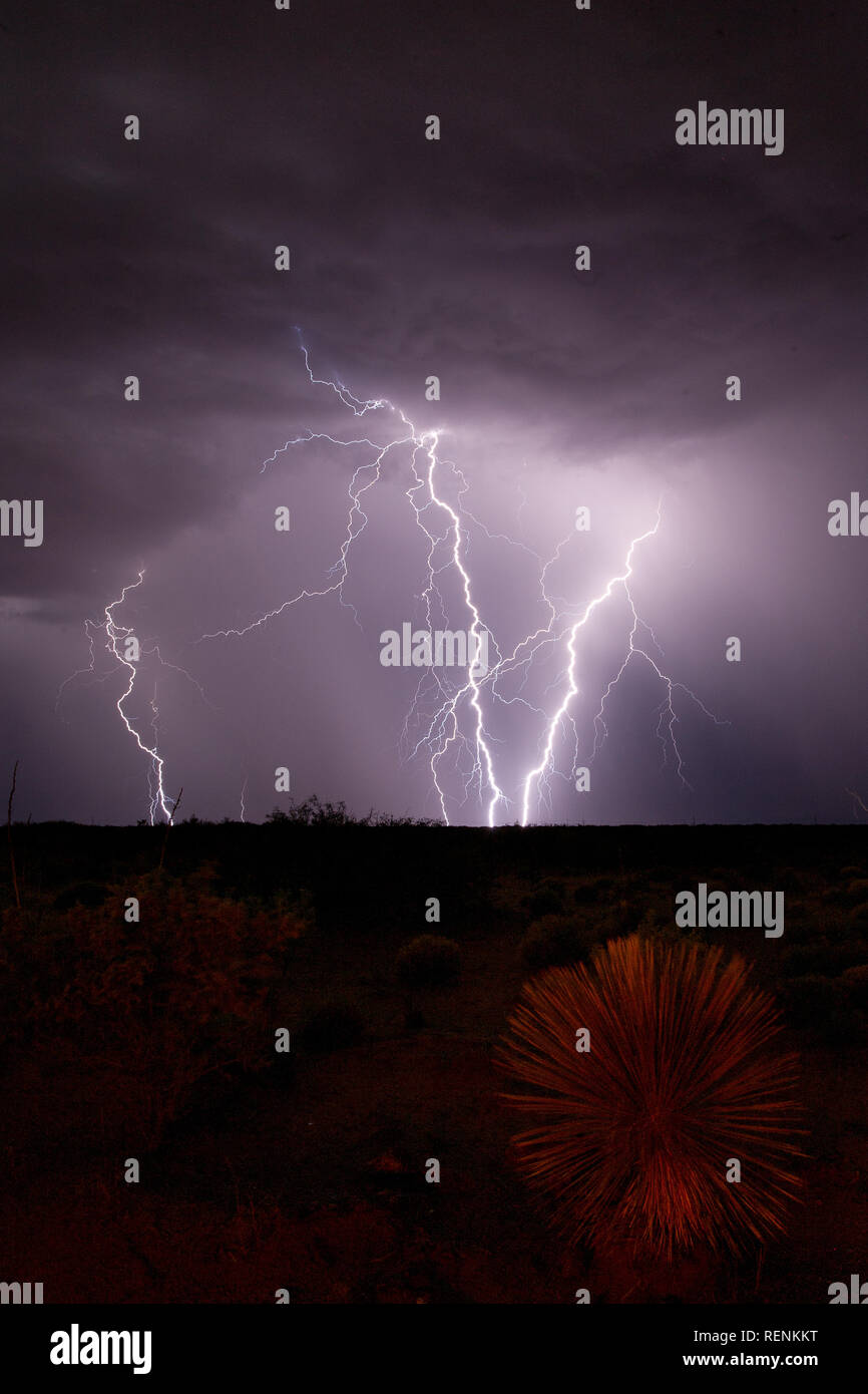 Rain desert new mexico hi-res stock photography and images - Alamy