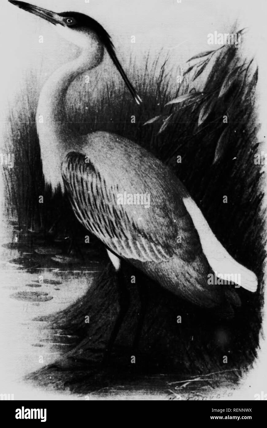 1 uno Black and White Stock Photos & Images - Alamy