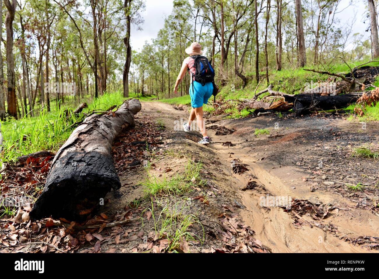 Pinnacle mackay queensland australia hi-res stock photography and ...