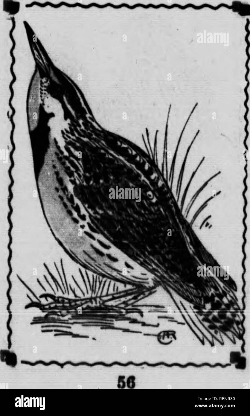 10 arched Black and White Stock Photos & Images - Alamy