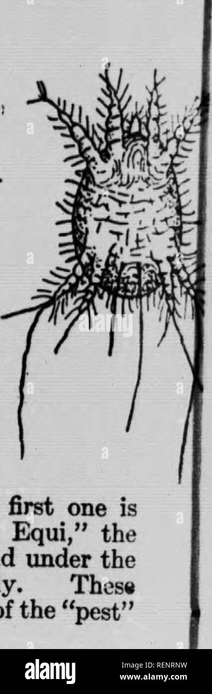 Scabs skin Black and White Stock Photos & Images - Alamy