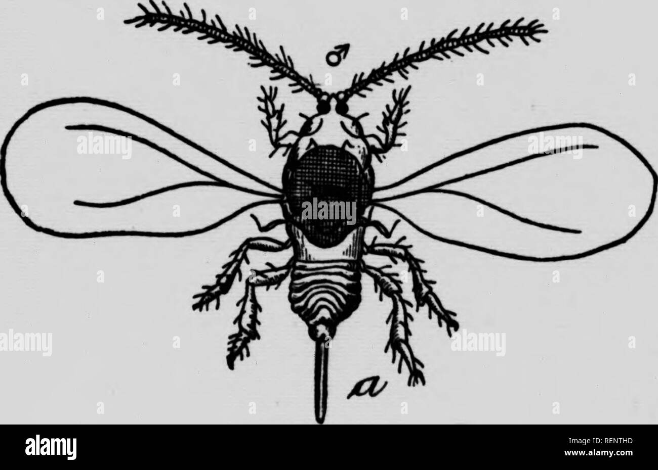 55 principales hi-res stock photography and images - Alamy