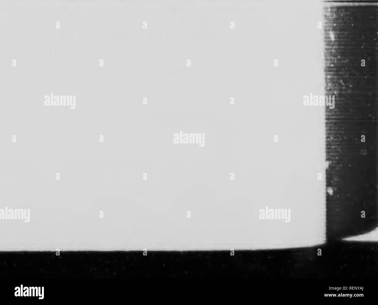 Raised coral island Black and White Stock Photos & Images - Alamy