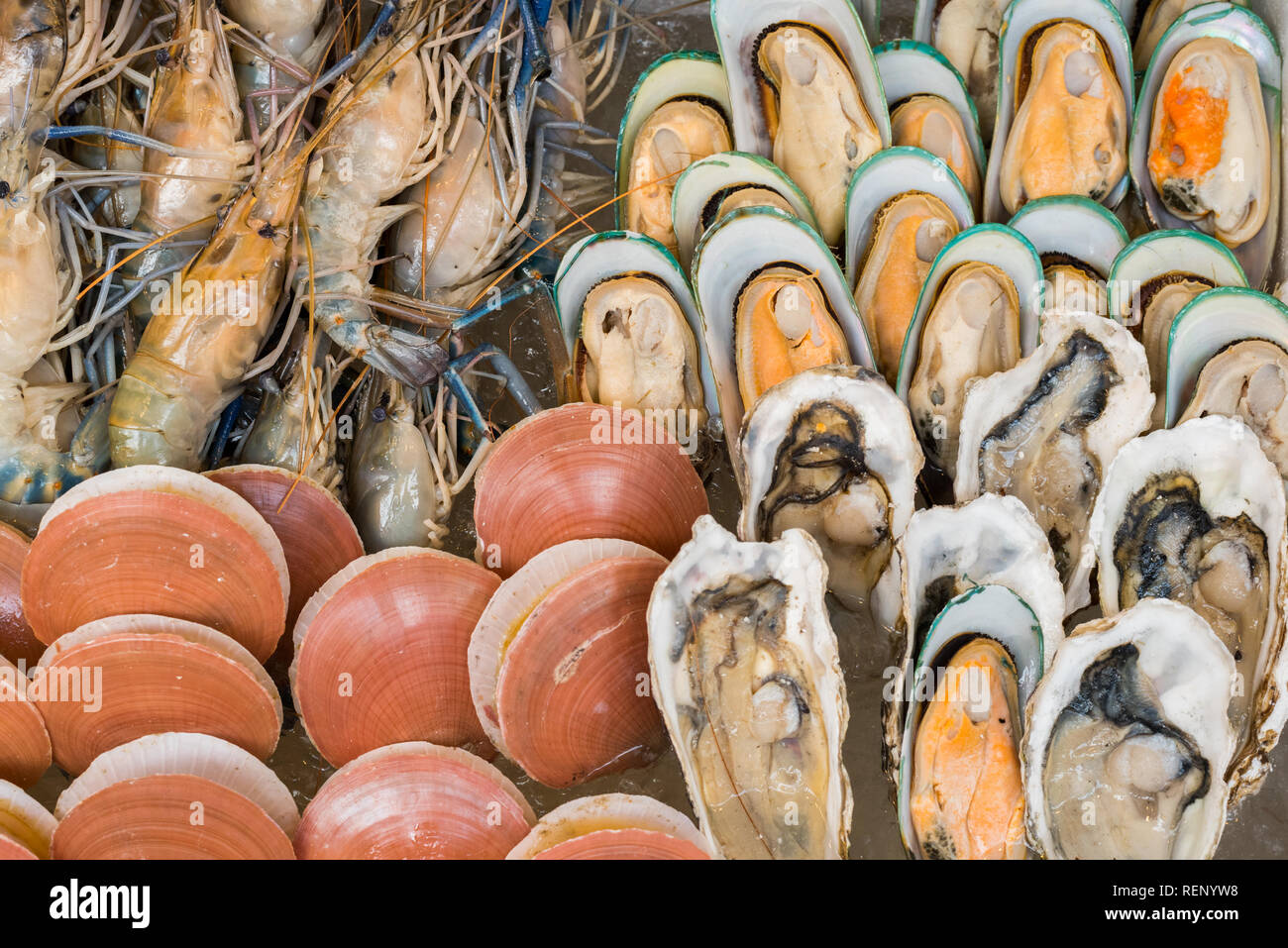 Different mollusks food hi-res stock photography and images - Alamy
