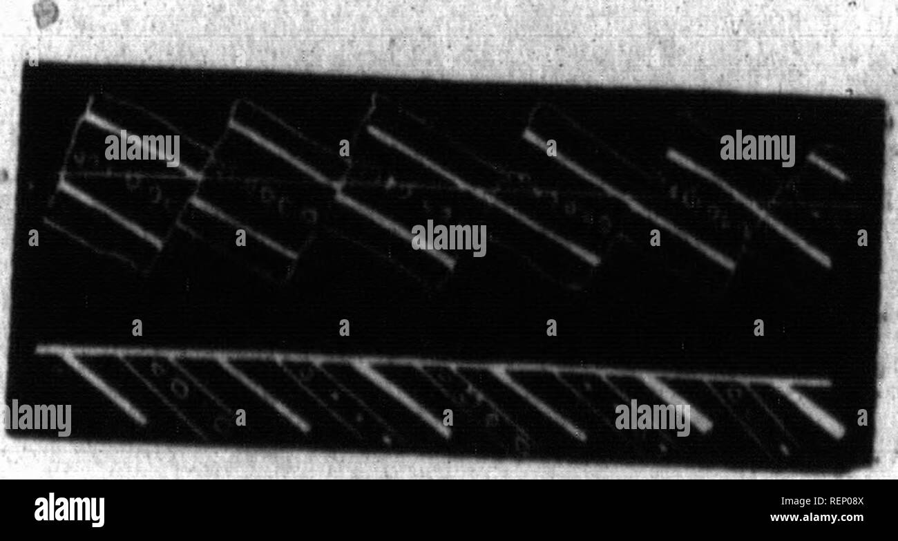 Tectonic formations and processes Black and White Stock Photos & Images ...