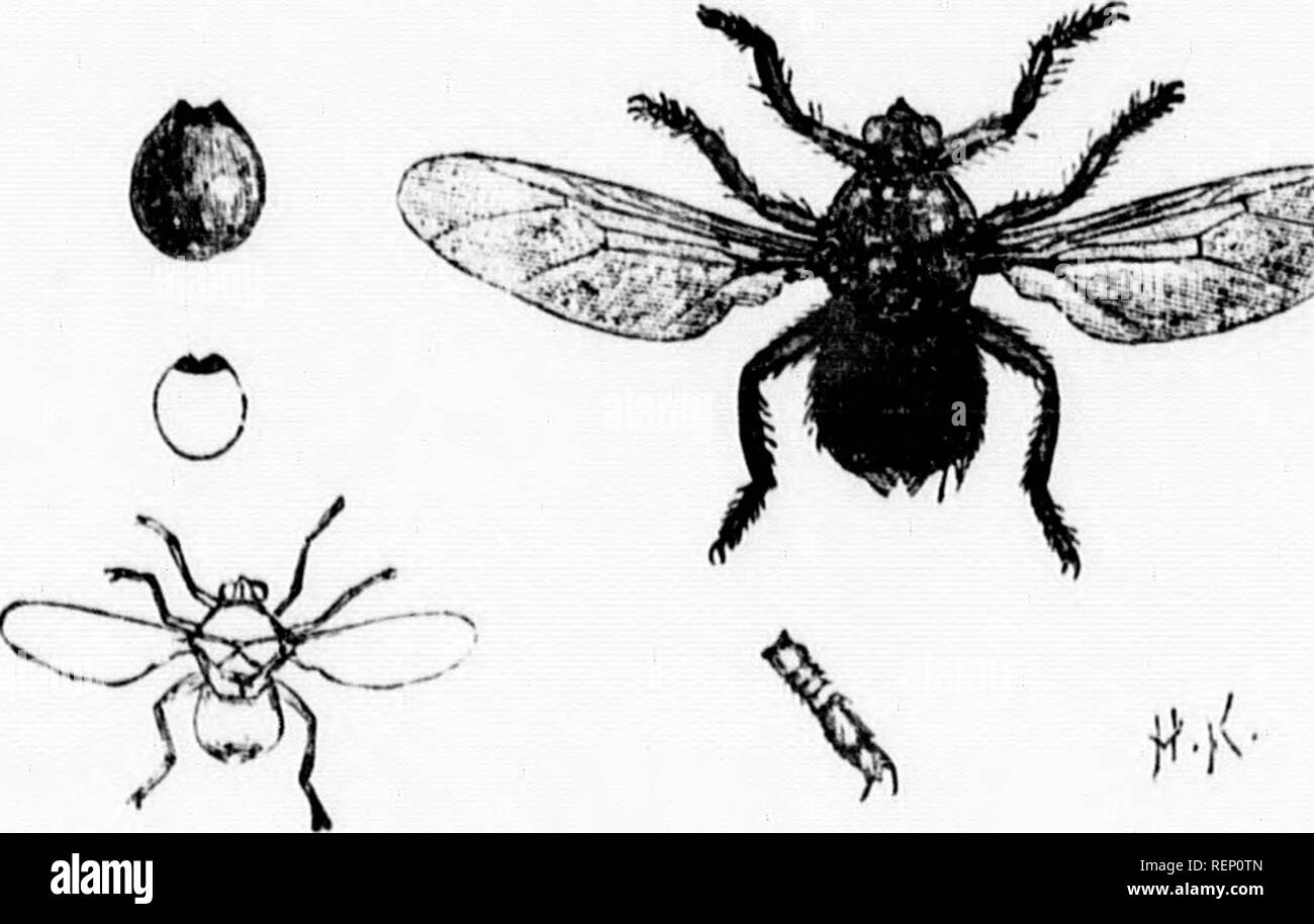 Flics Cut Out Stock Images & Pictures - Alamy