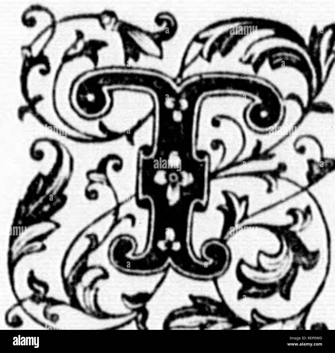 Fiou Black and White Stock Photos & Images - Alamy