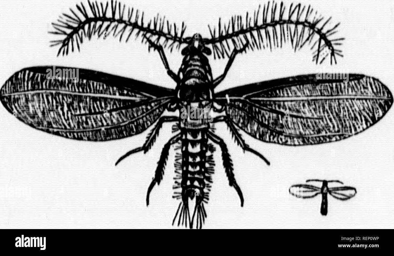 Hero section Black and White Stock Photos & Images - Alamy