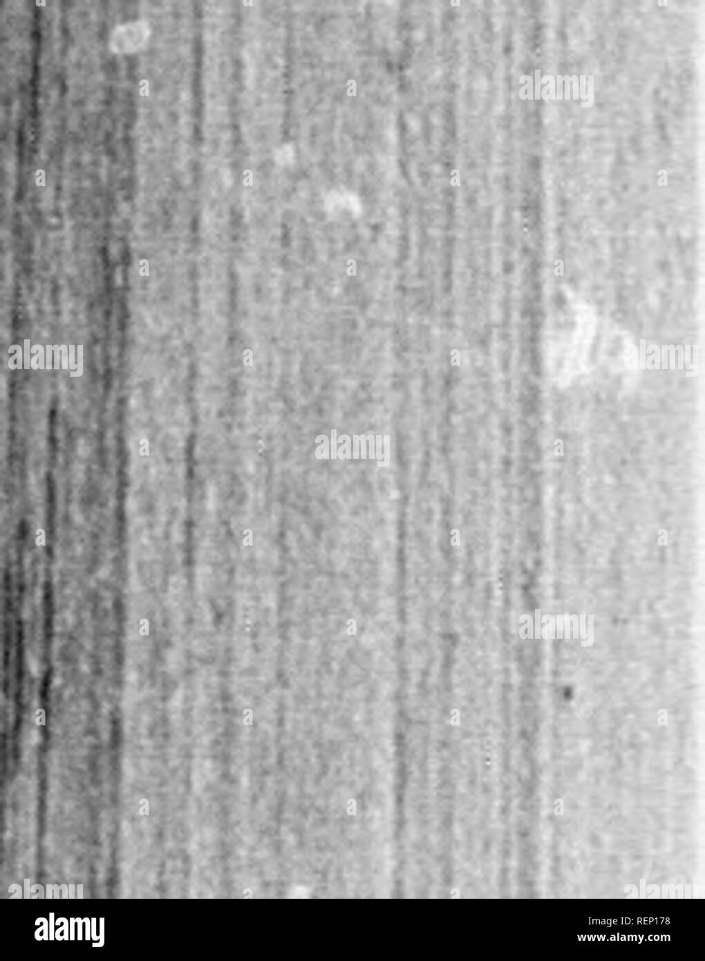 314 north st hi-res stock photography and images - Alamy