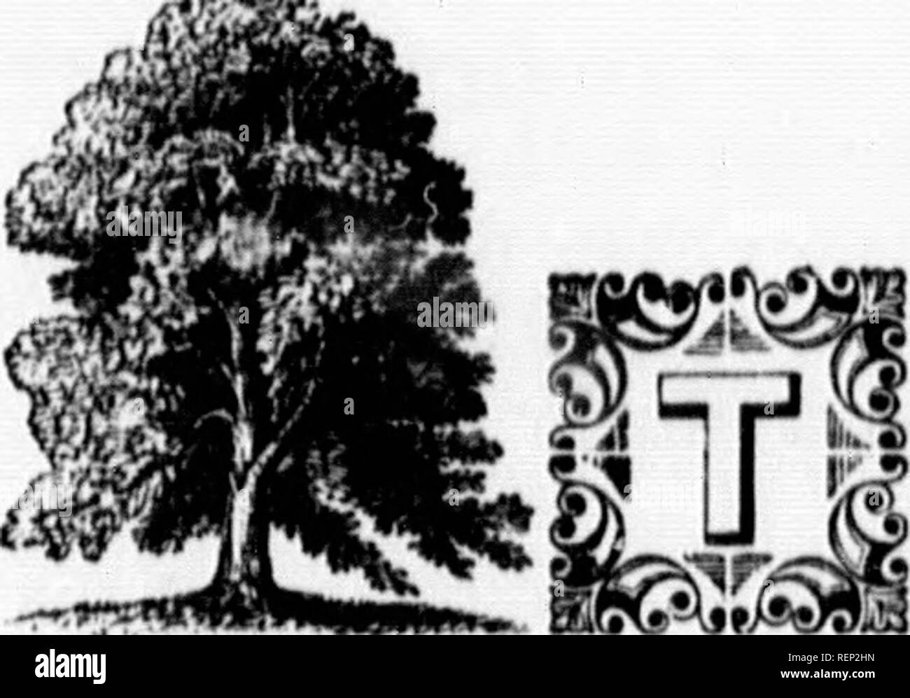 Bnst hi-res stock photography and images - Alamy