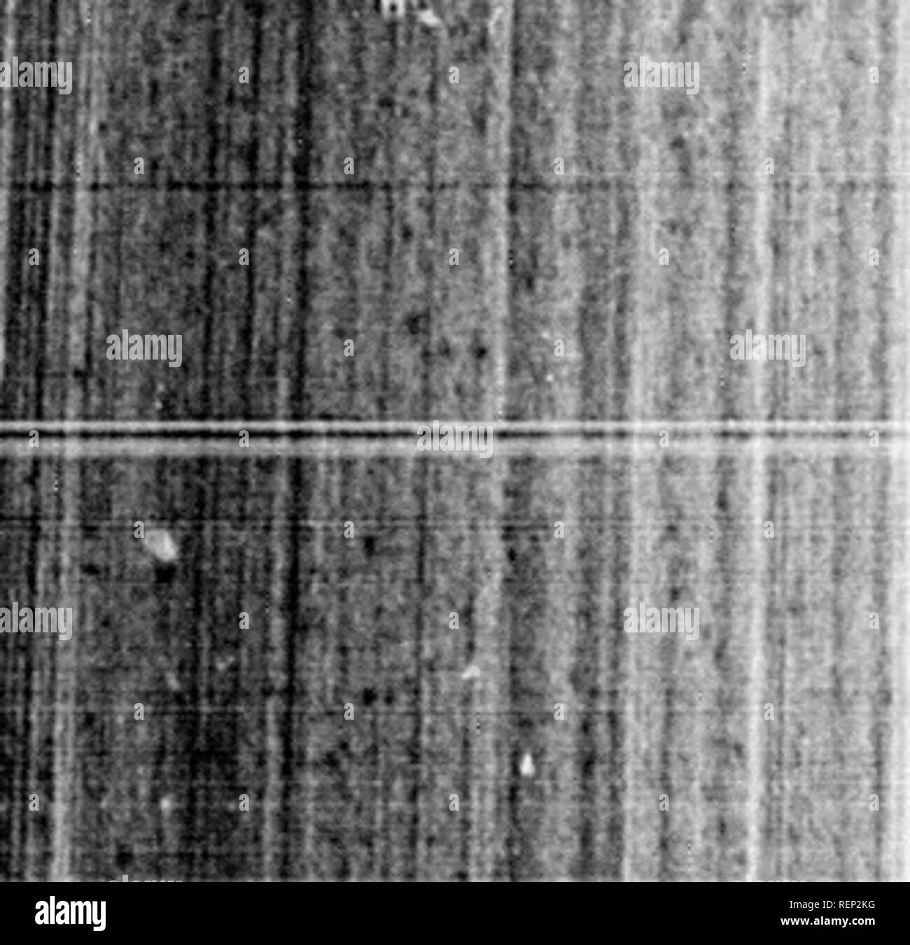 4 falls walk Black and White Stock Photos & Images - Alamy