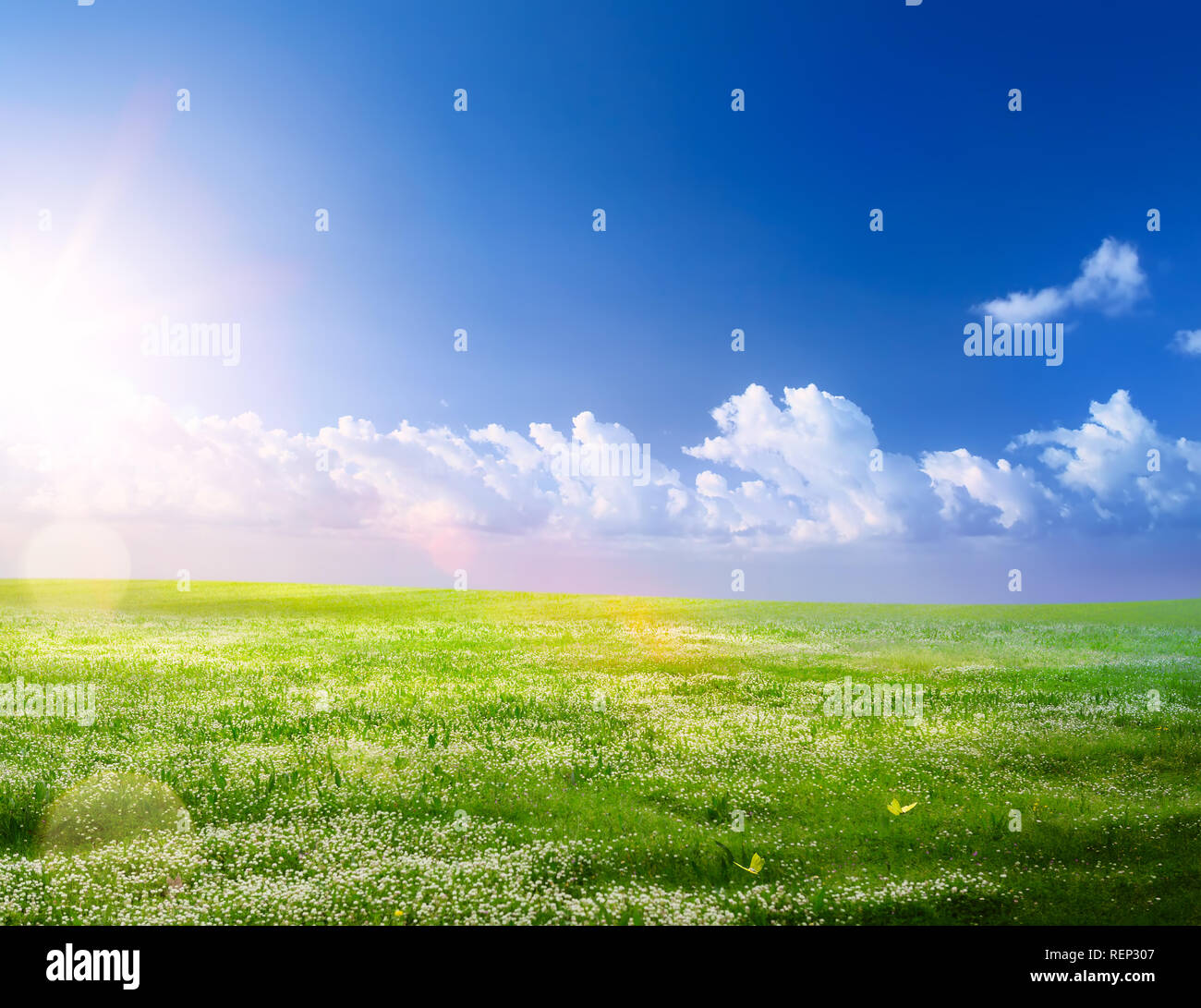 spring landscape background; spring flowering and blue sunny sky Stock ...