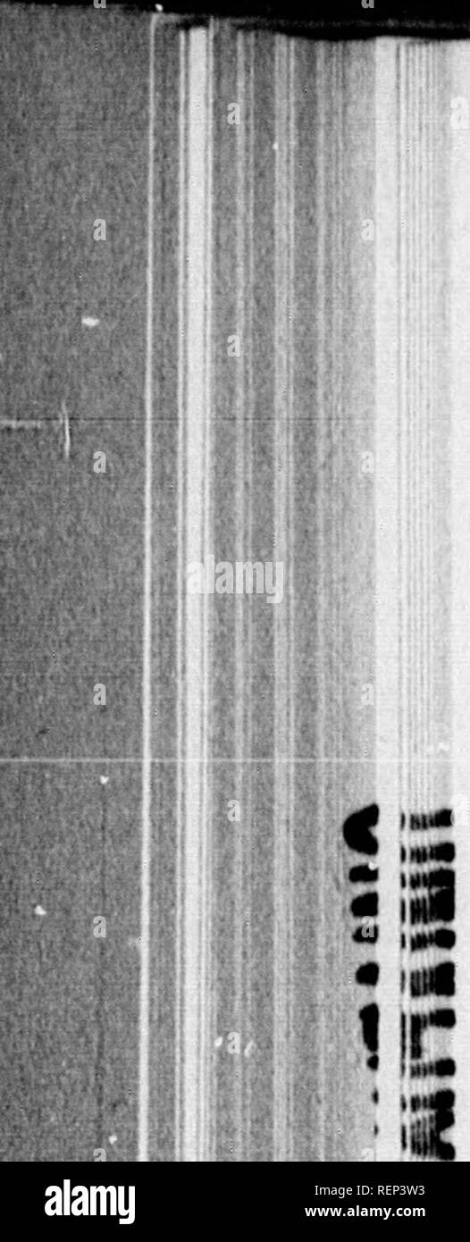 Invertebrate adaptation Black and White Stock Photos & Images - Alamy