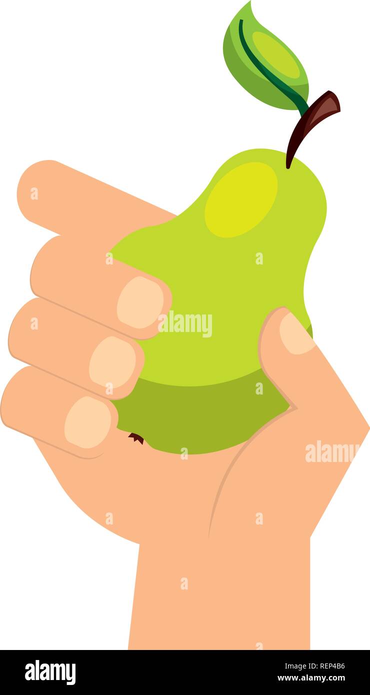 hand holding pear fresh food Stock Vector Image & Art - Alamy