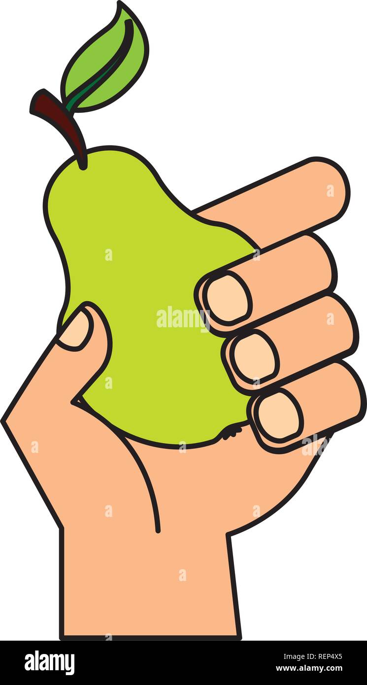 hand holding pear fresh food Stock Vector Image & Art - Alamy