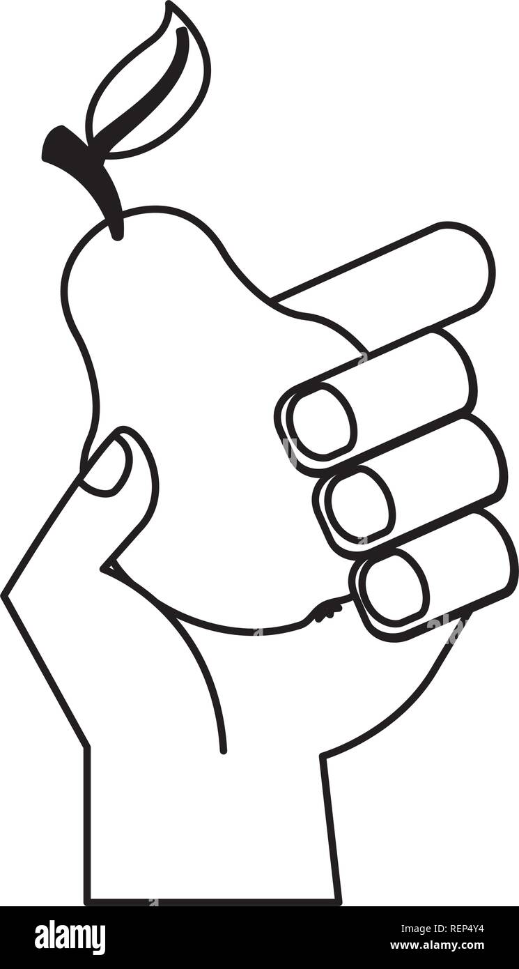 hand holding pear fresh food Stock Vector Image & Art - Alamy