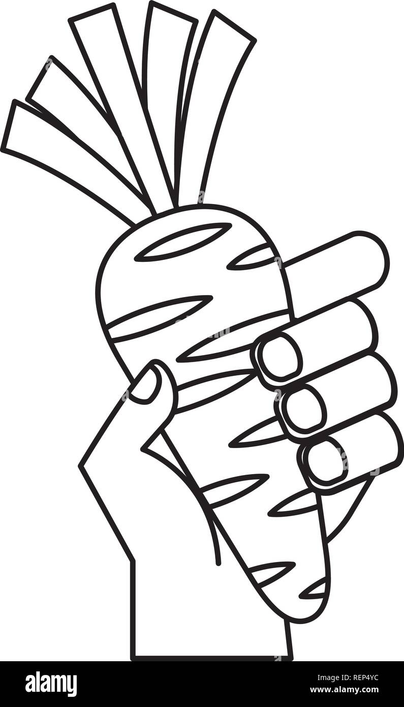 Fresh carrot harvest hand Black and White Stock Photos & Images - Alamy