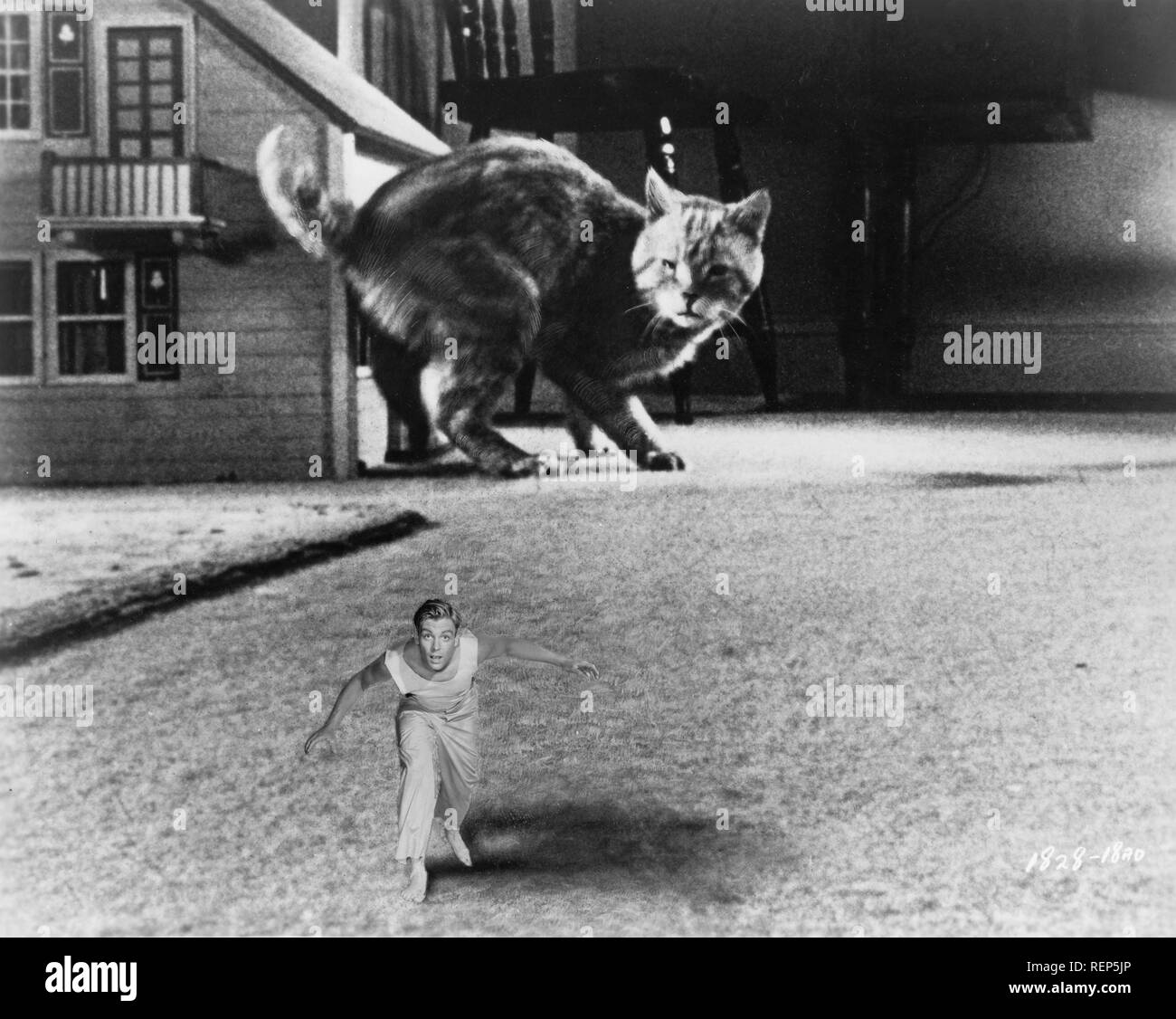 Incredible Shrinking Man